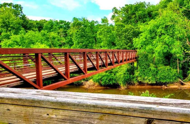 Neuse River Trail: Everything You Need To Know - The Trippy Life