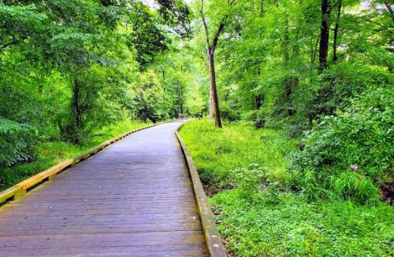 Neuse River Trail: Everything You Need To Know - The Trippy Life