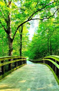 Neuse River Trail: Everything You Need To Know - The Trippy Life