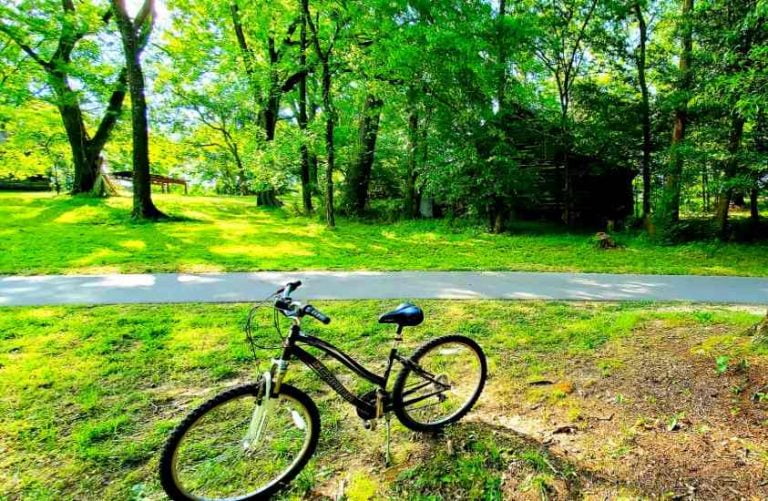 Neuse River Trail: Everything You Need To Know - The Trippy Life