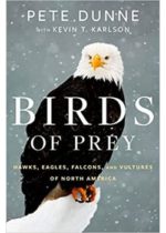 The Ultimate Birds Of Prey (Raptor) Identification Guide - The Trippy Life